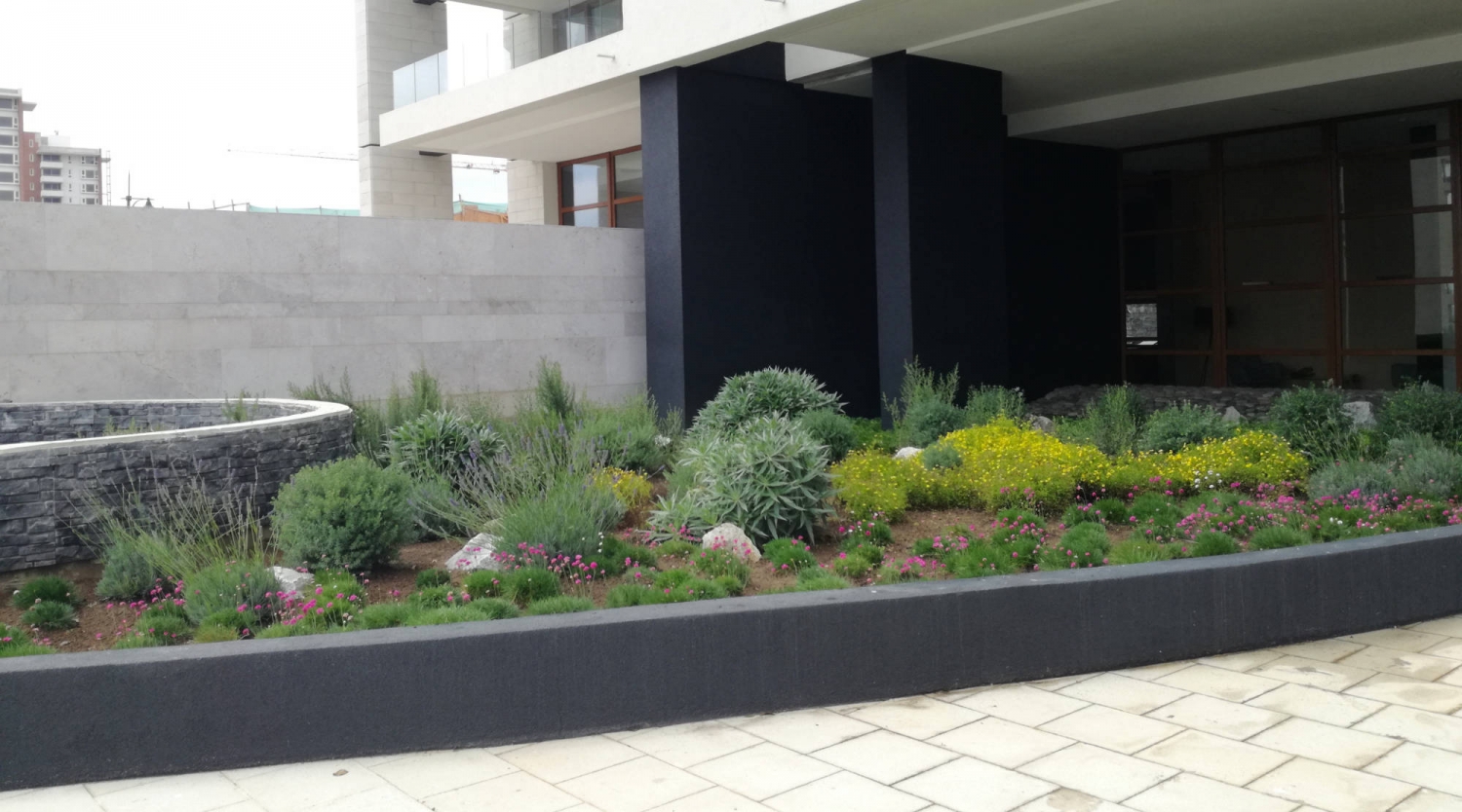 ED. AMIRA Concón – Trazo Verde Paisajismo